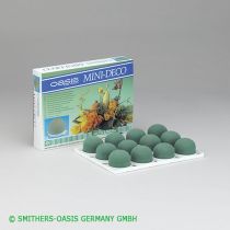 Floristik24.fr OASIS® MiniDéco Premium 12 pcs