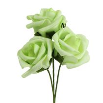 Floristik24.fr Rose mousse Ø4.5cm verte 36p