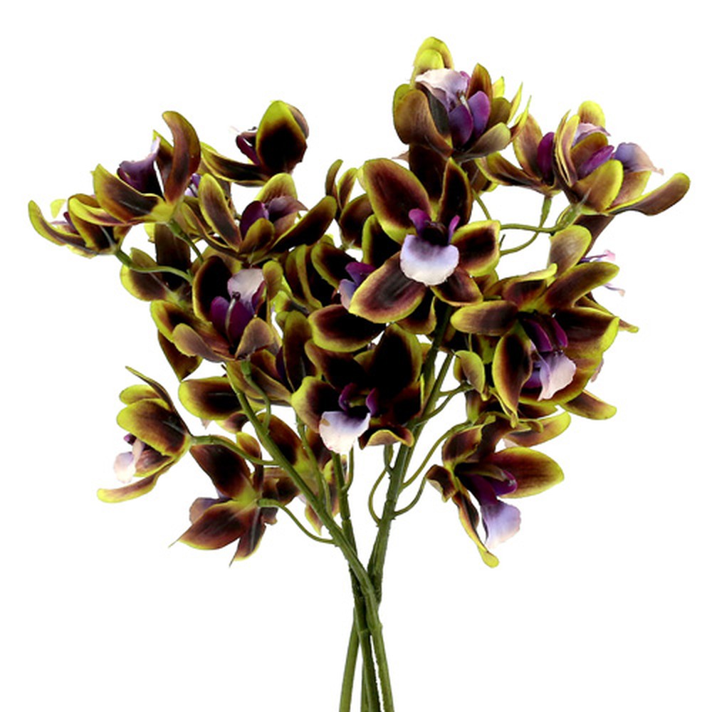 Floristik24.fr Orchidée Cymbidium Vert, Violet L38cm 4pcs-1270-01