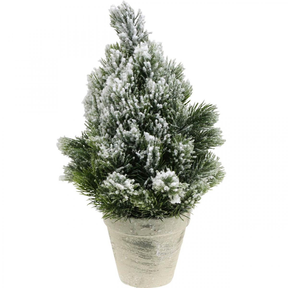 Floristik24.fr Mini sapin de Noël en pot enneigé artificiellement Ø18cm ...