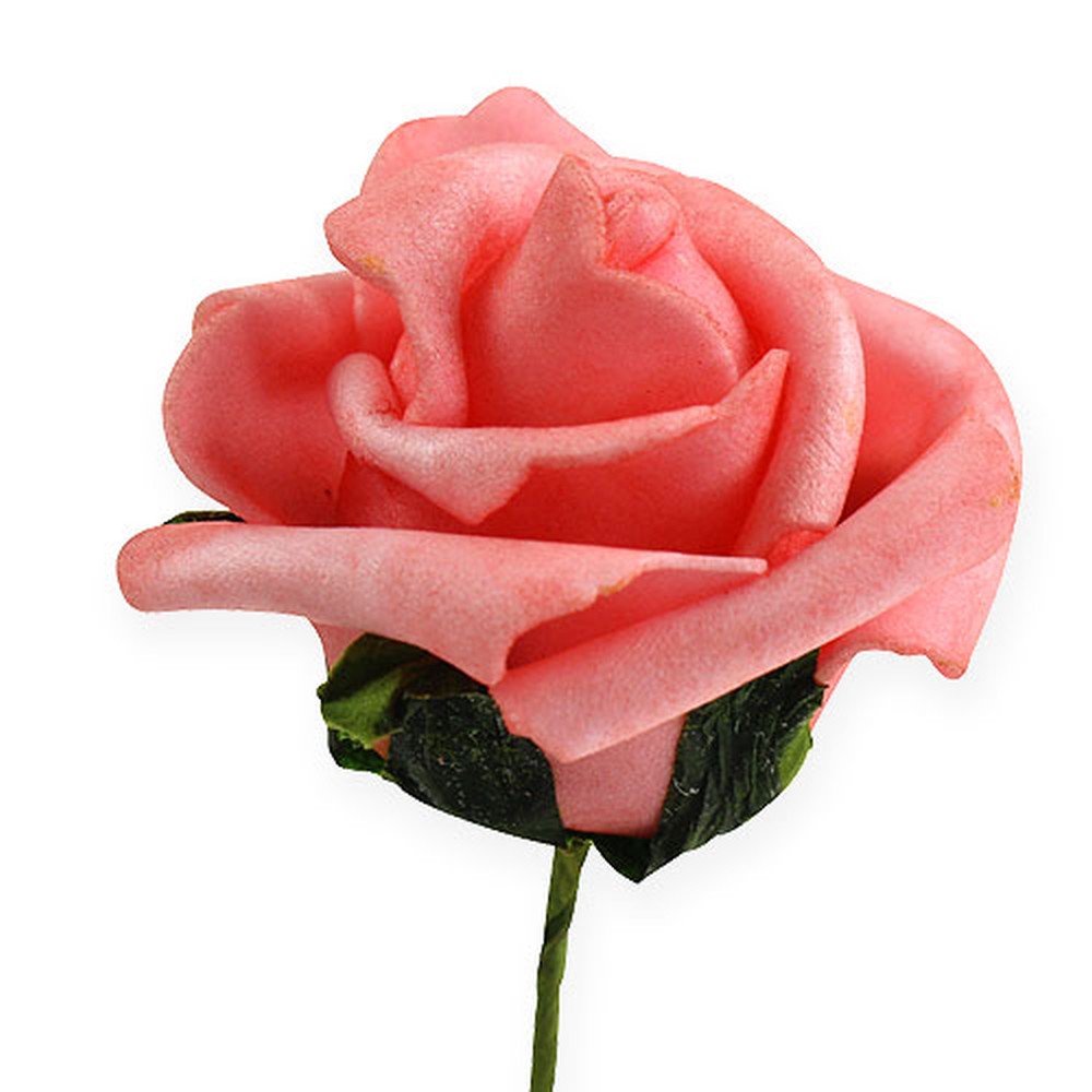 Floristik24.fr Rose mousse Ø4.5cm rose 36p-27413